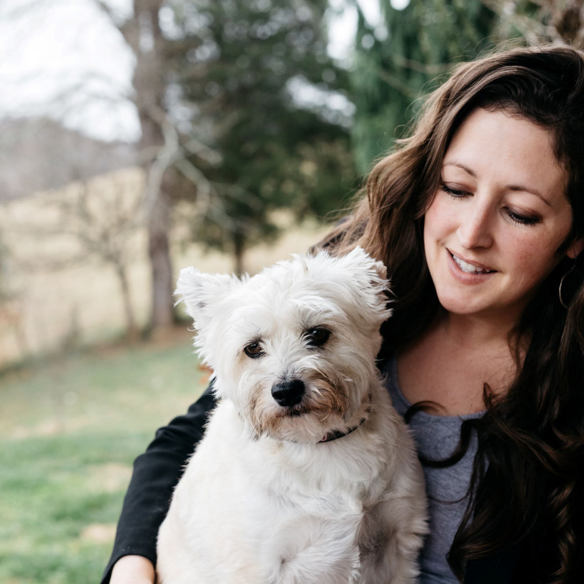 Choosing the Right Dog Breed for Your Lifestyle: Finding Your Perfect ...