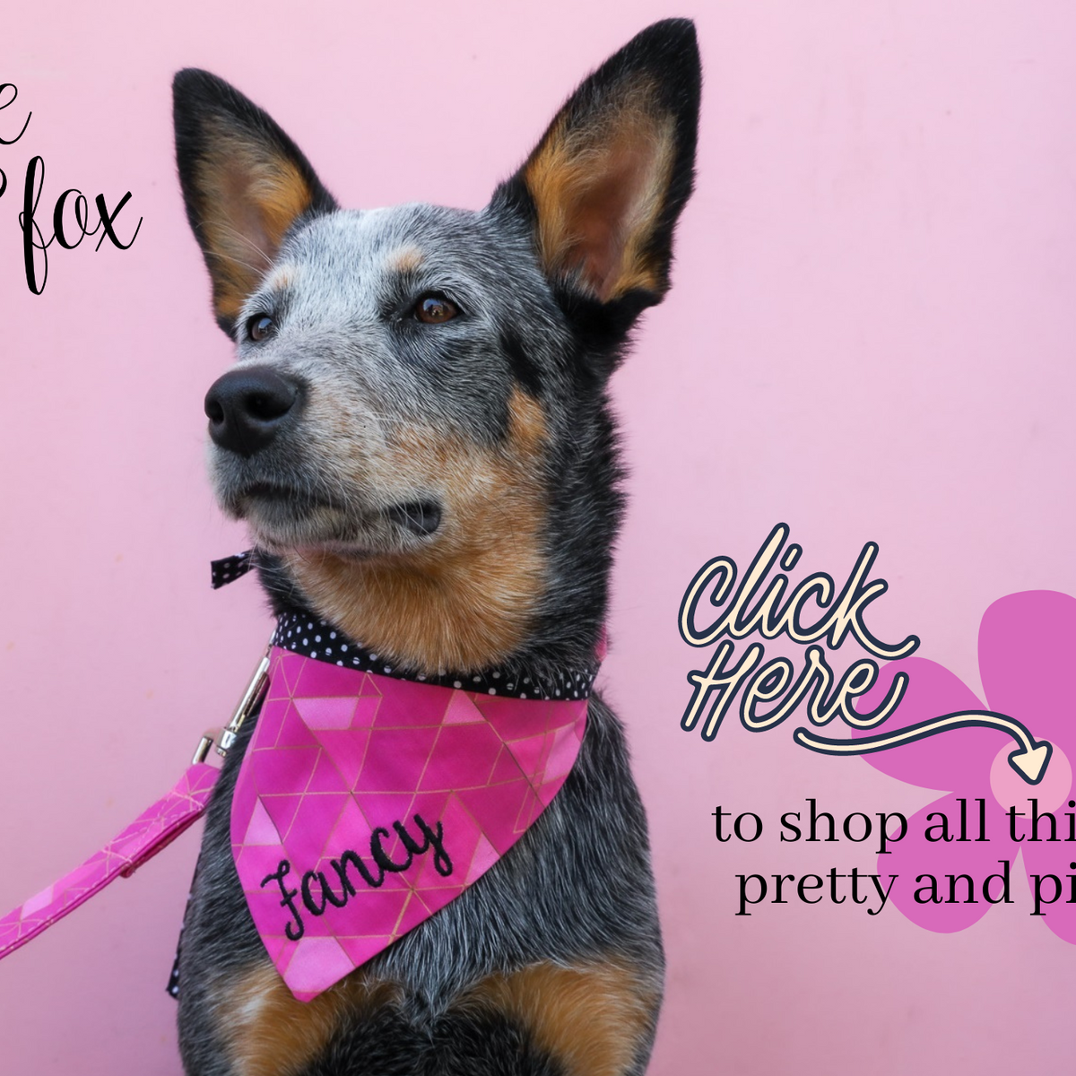 Pink & Pretty – Duke & Fox