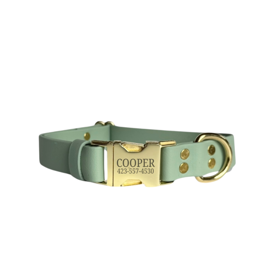 Personalized Sage Biothane® Dog Collar – Duke & Fox