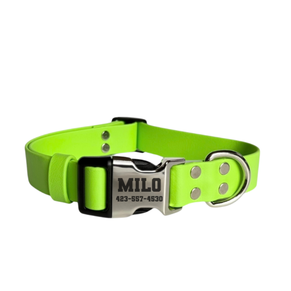 Personalized Lime Green Biothane® Dog Collar – Duke & Fox