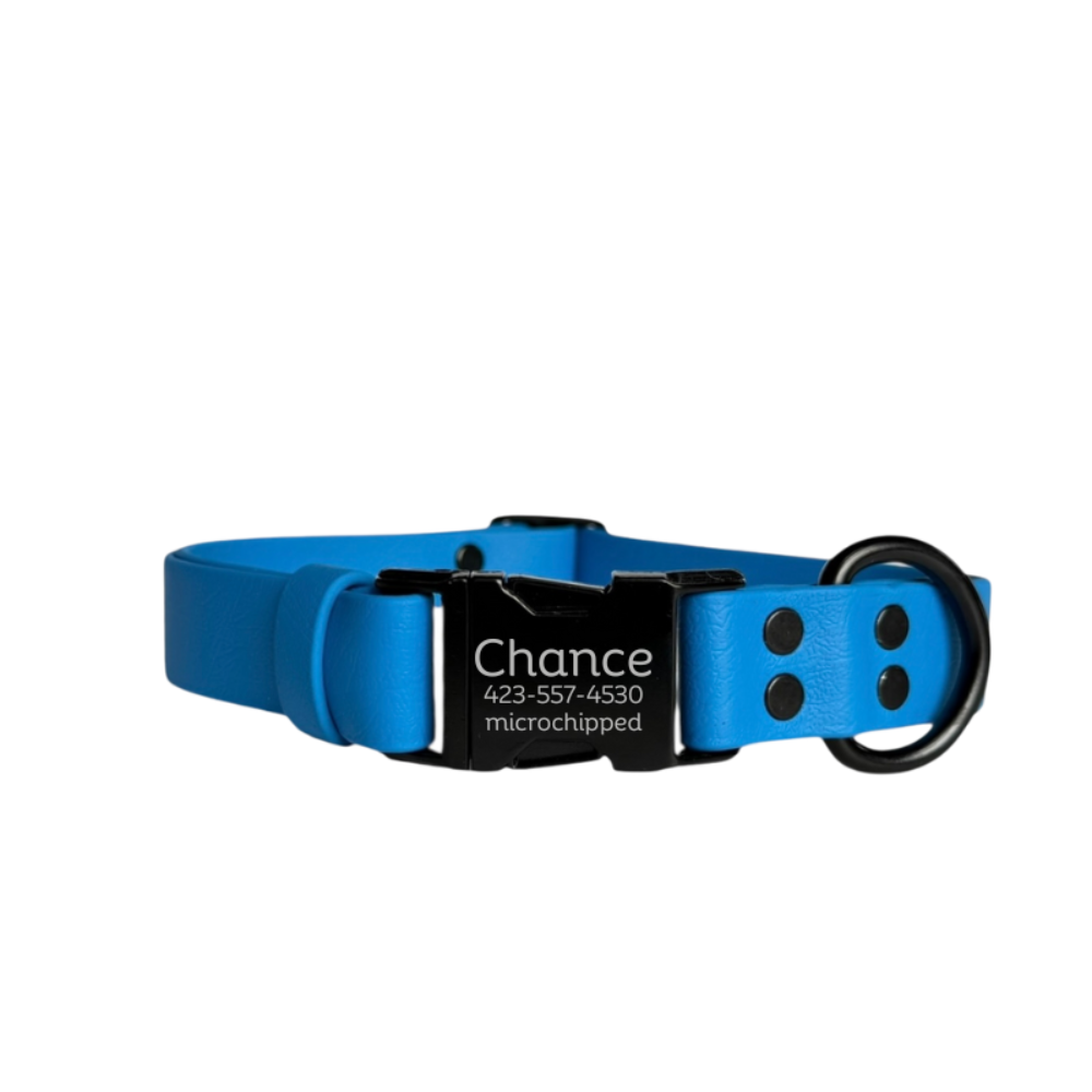 Personalized Bright Blue Biothane® Dog Collar – Duke & Fox