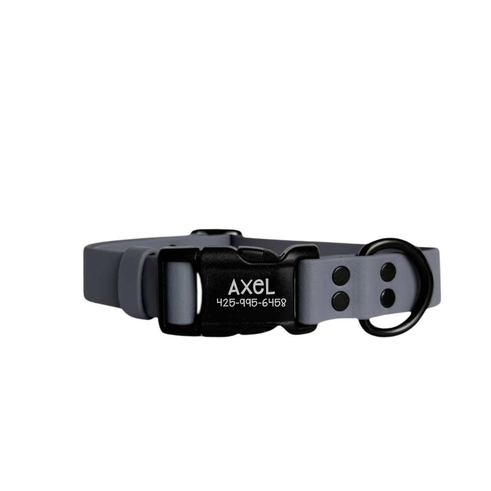 Personalized Grey Biothane® Dog Collar – Duke & Fox
