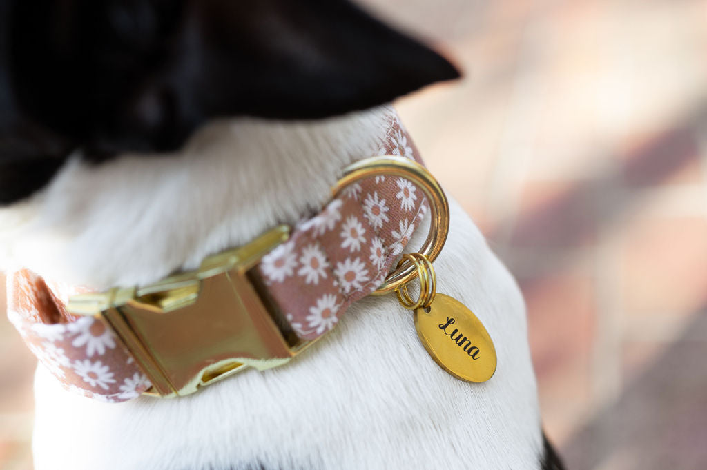 Personalized Engraved Dog Tag – Duke & Fox