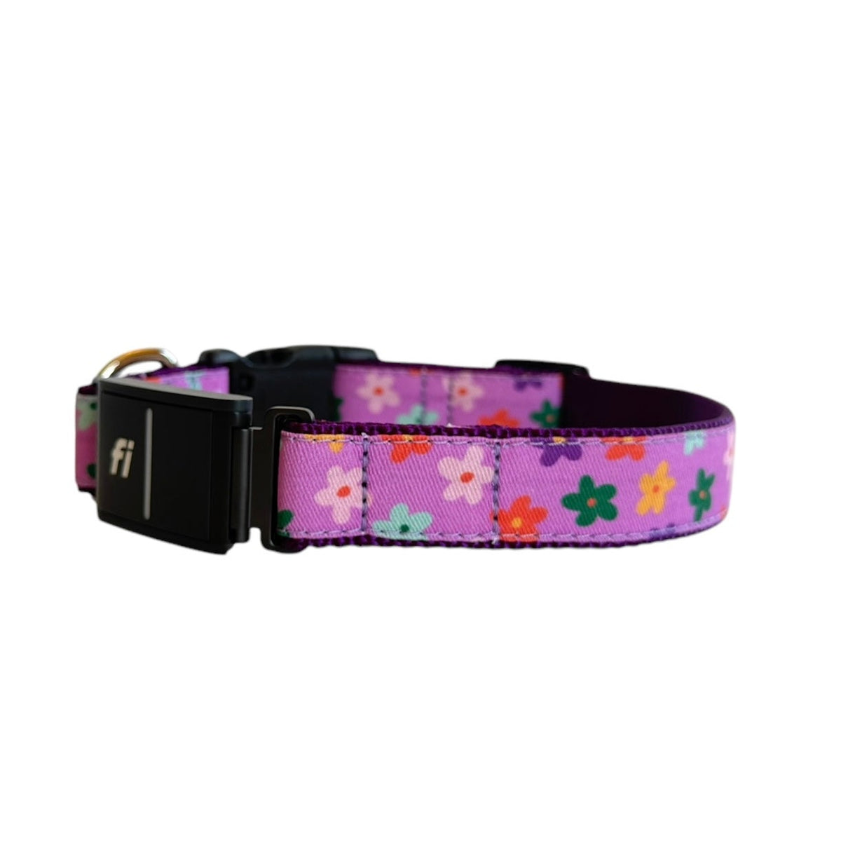 Fi Series 3 and Fi Series 3+ Compatible Dog Collar | Daisy Fi Collar ...